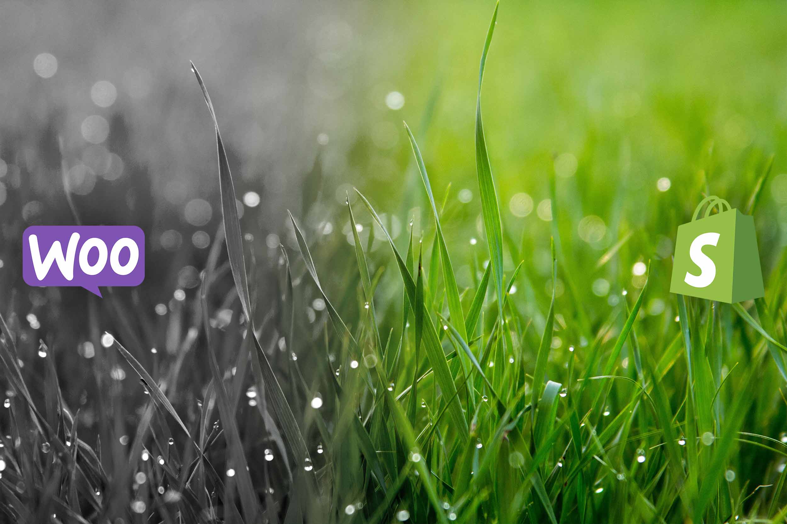 Why Migrate From Woocommerce To Shopify Shopcreatify